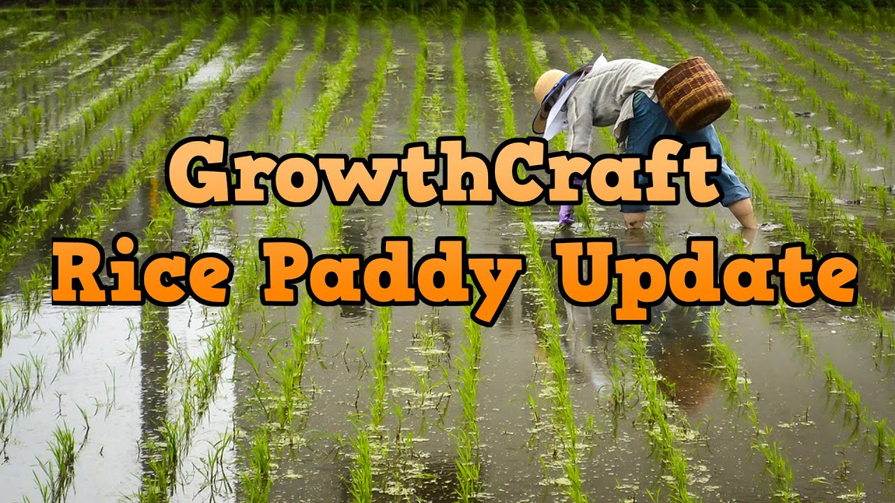 GrowthCraft Rice Paddy Tutorial Update - Bluecoconut Family